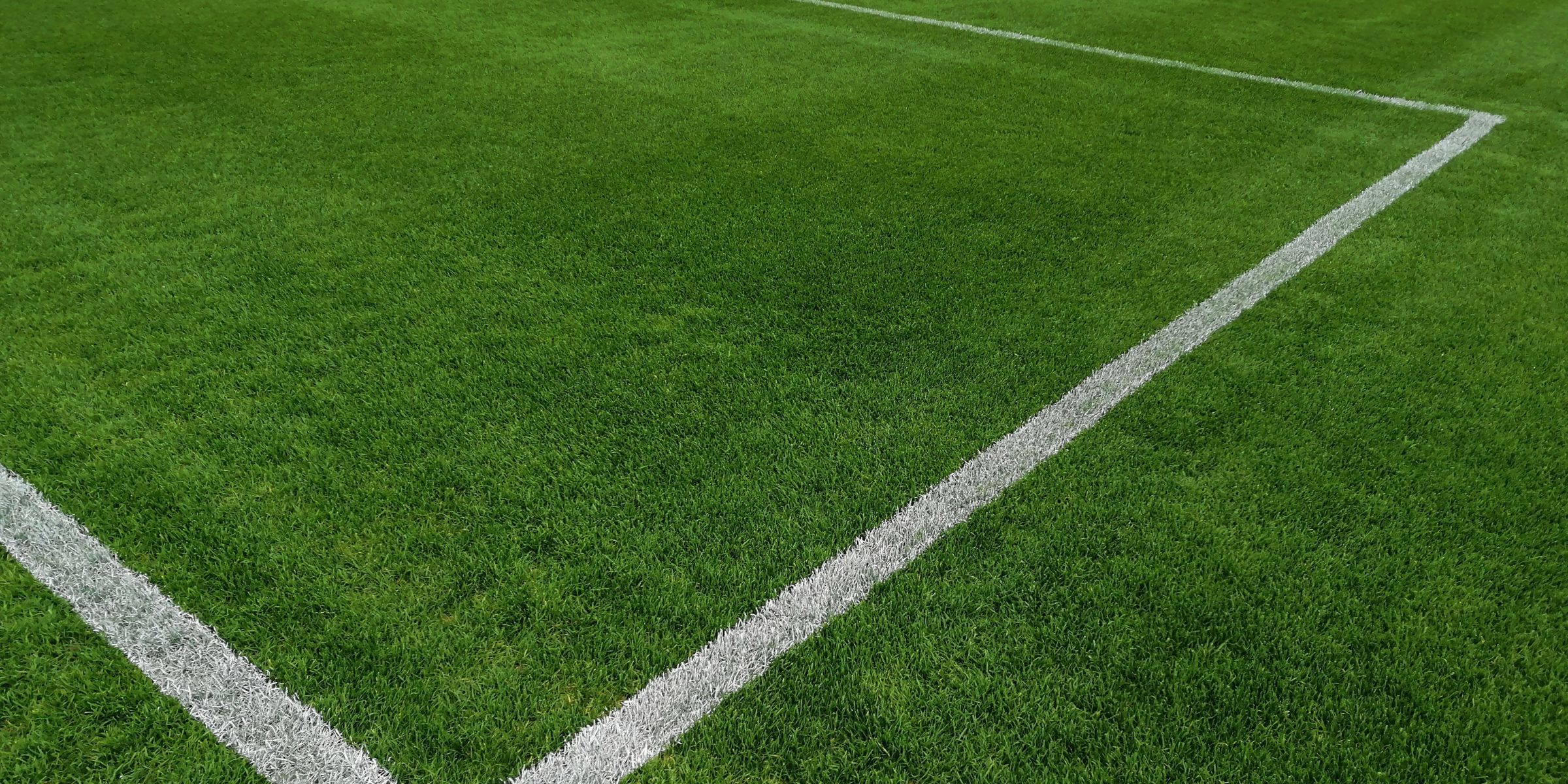 The characteristics of C3 and C4 grasses - International Greenkeepers ...