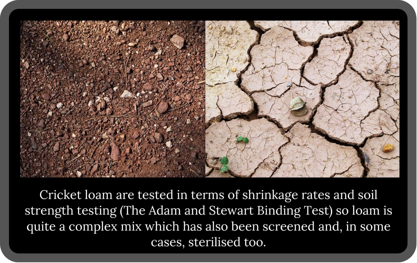 Why is it important to use loam/clay over native soil on a cricket ...