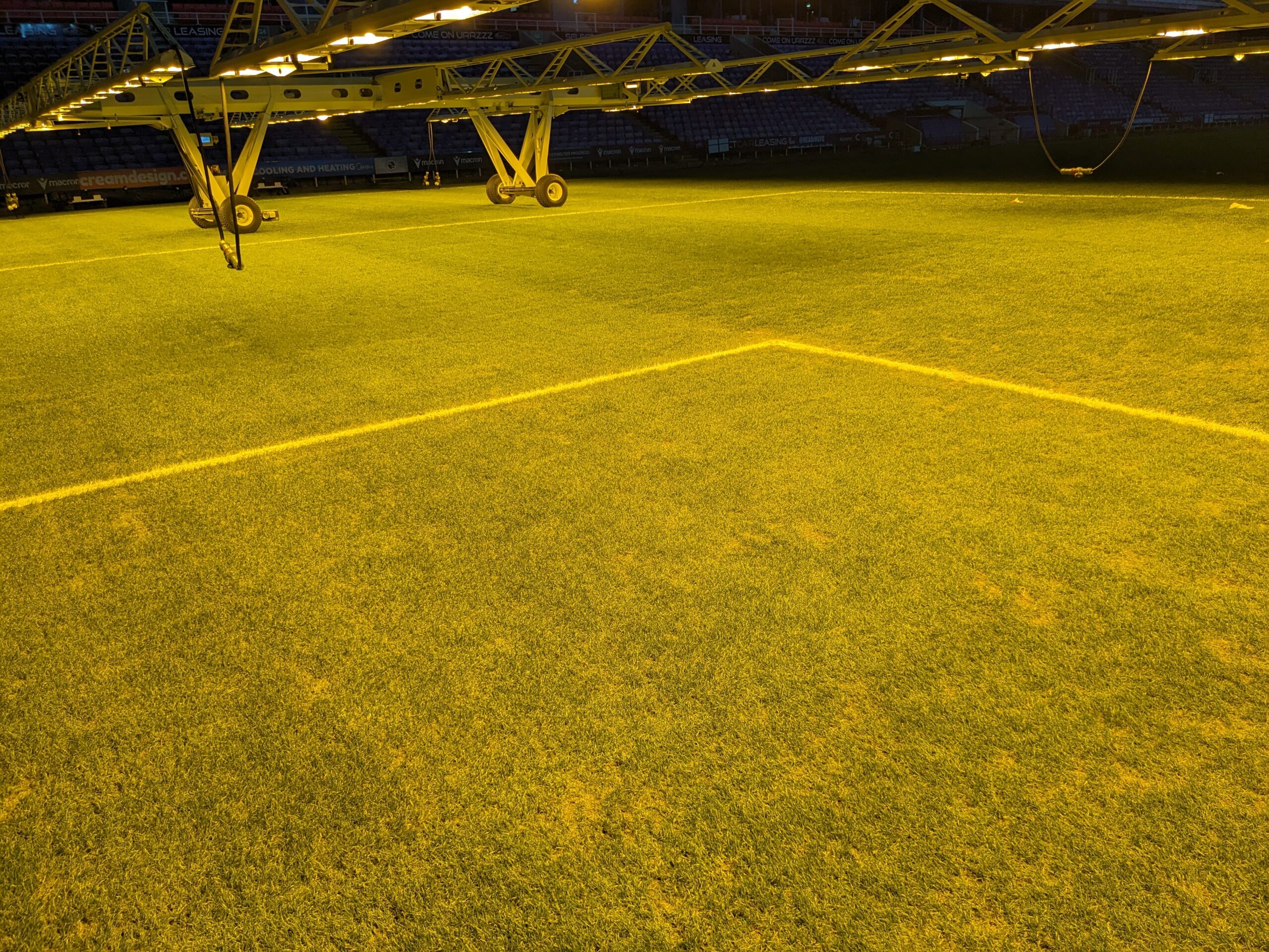 Influences that temperature and light have on C3 and C4 grasses ...